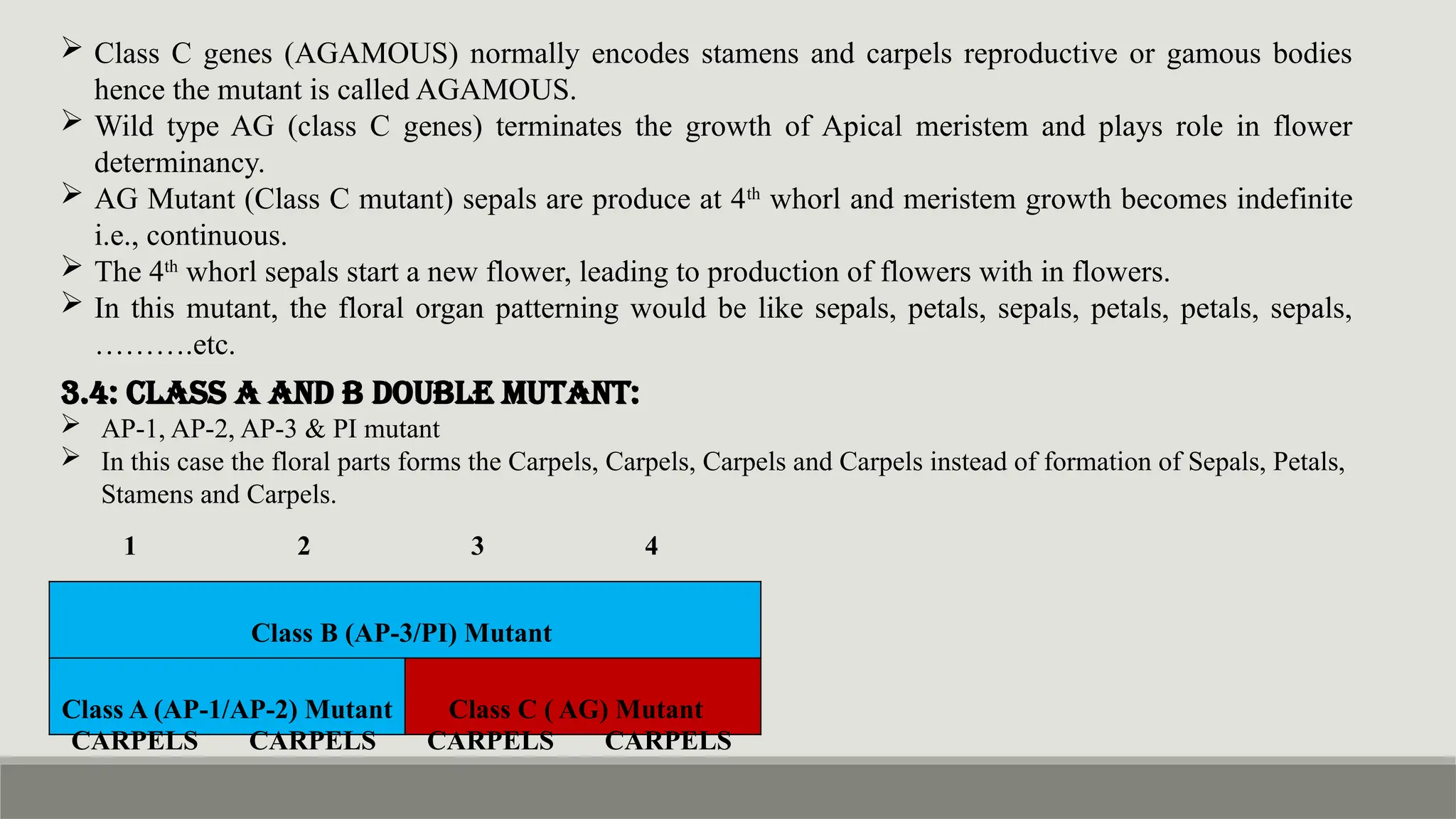 ABC Model of Flower development Botany Plant Physiology | PPTX