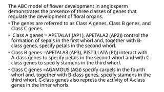 Abc model.pptx department of botany du jodhpur | PPTX