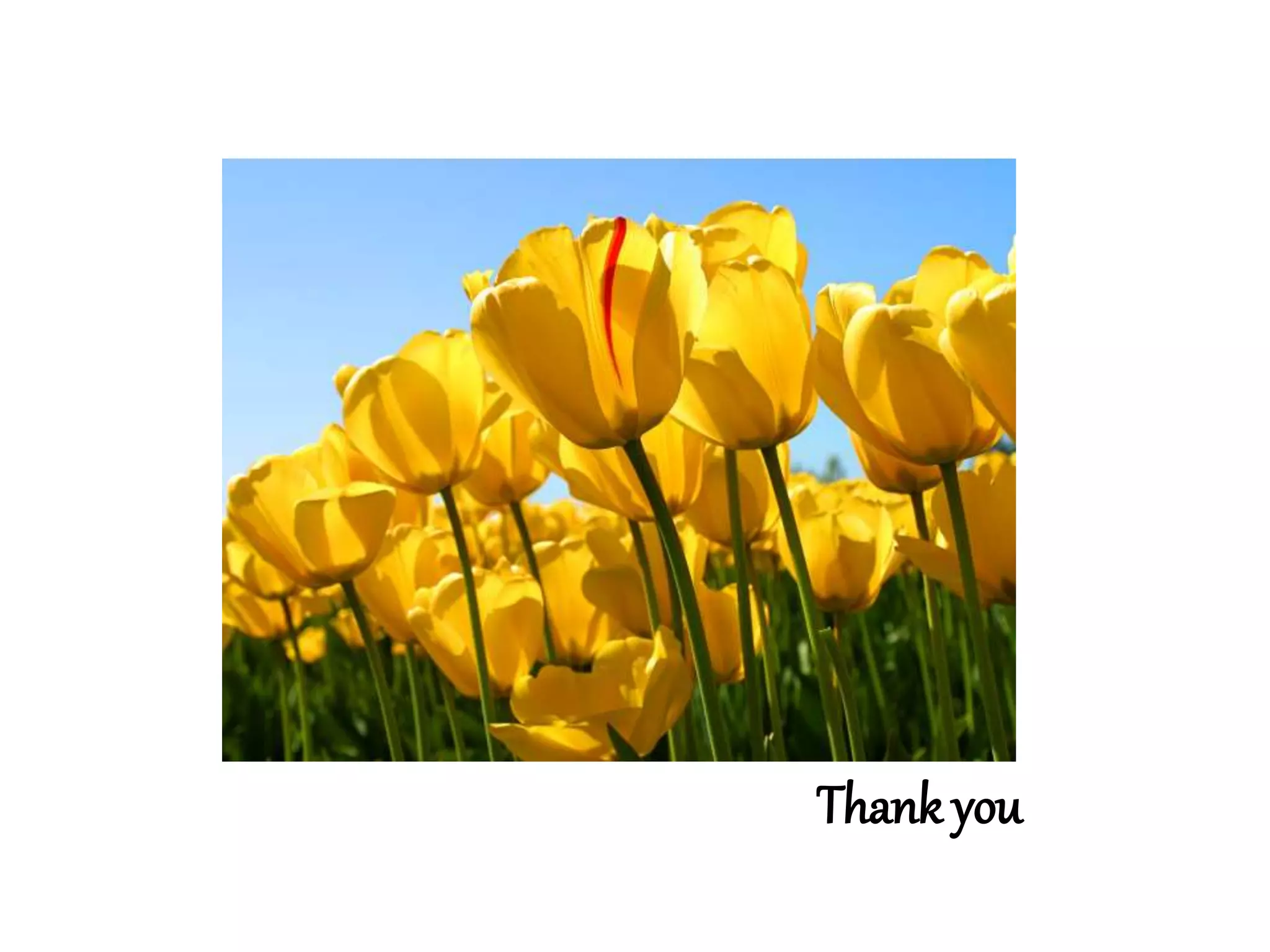 Abc model of flower development | PPTX