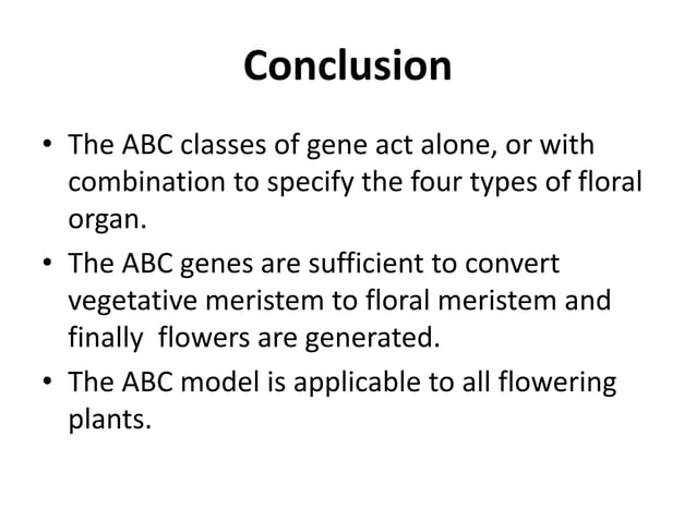 Abc model of flower development | PPTX