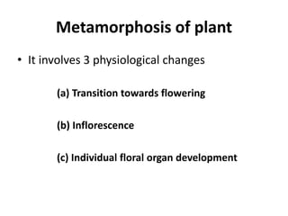 Abc model of flower development | PPTX