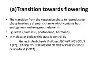 Abc model of flower development | PPTX