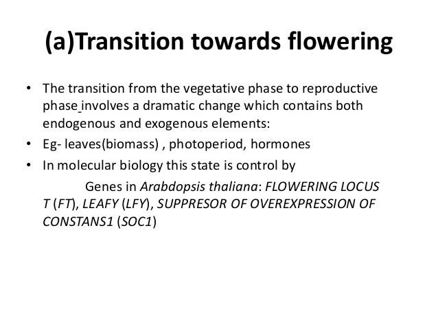 Abc model of flower development