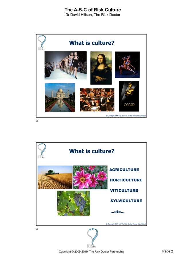 ABC of risk culture. Dr David Hillson | PDF | Business | Business and ...