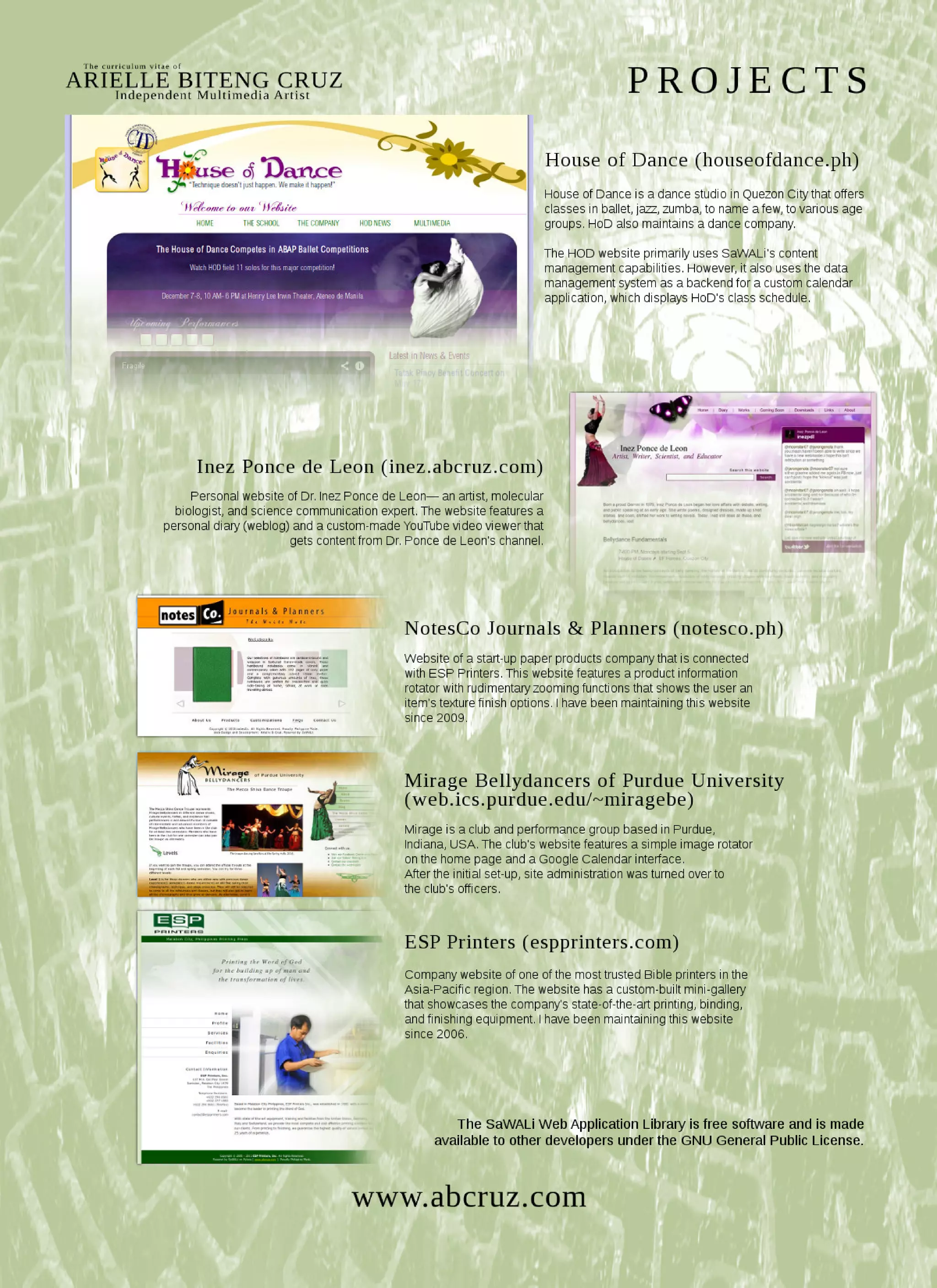 Curriculum Vitae of Arielle B Cruz | PDF