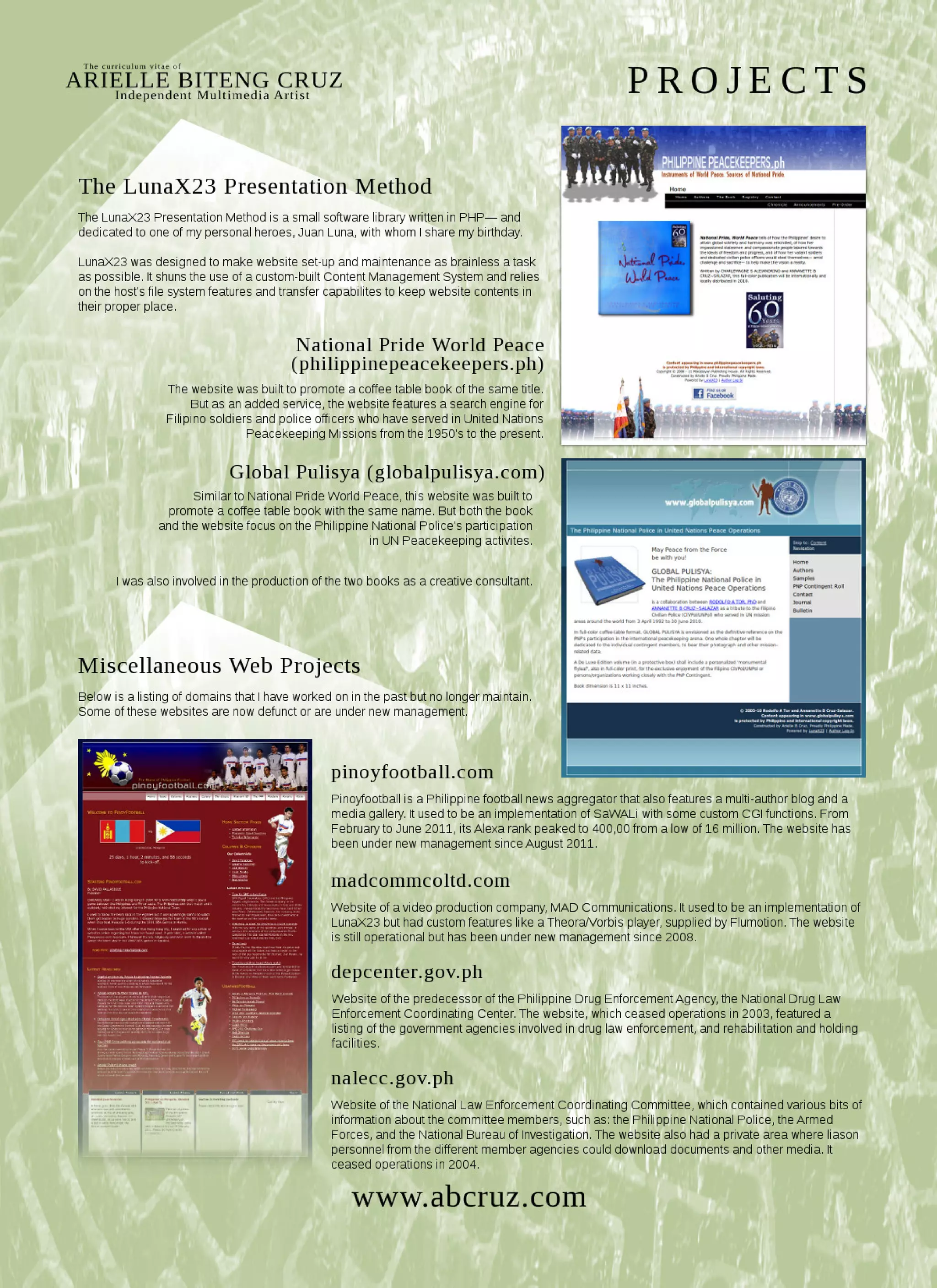 Curriculum Vitae of Arielle B Cruz | PDF