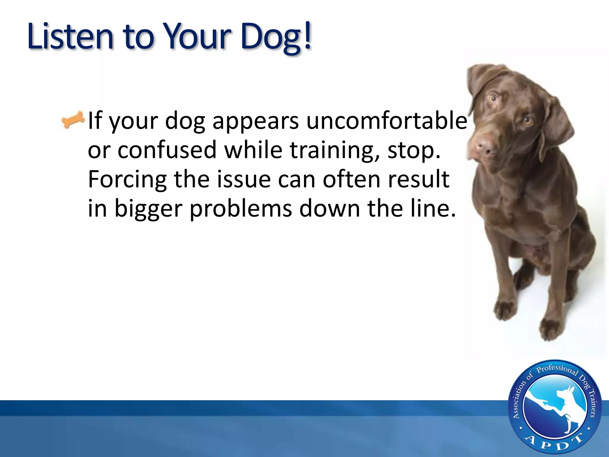 The Abc' s of dog training | PPSX