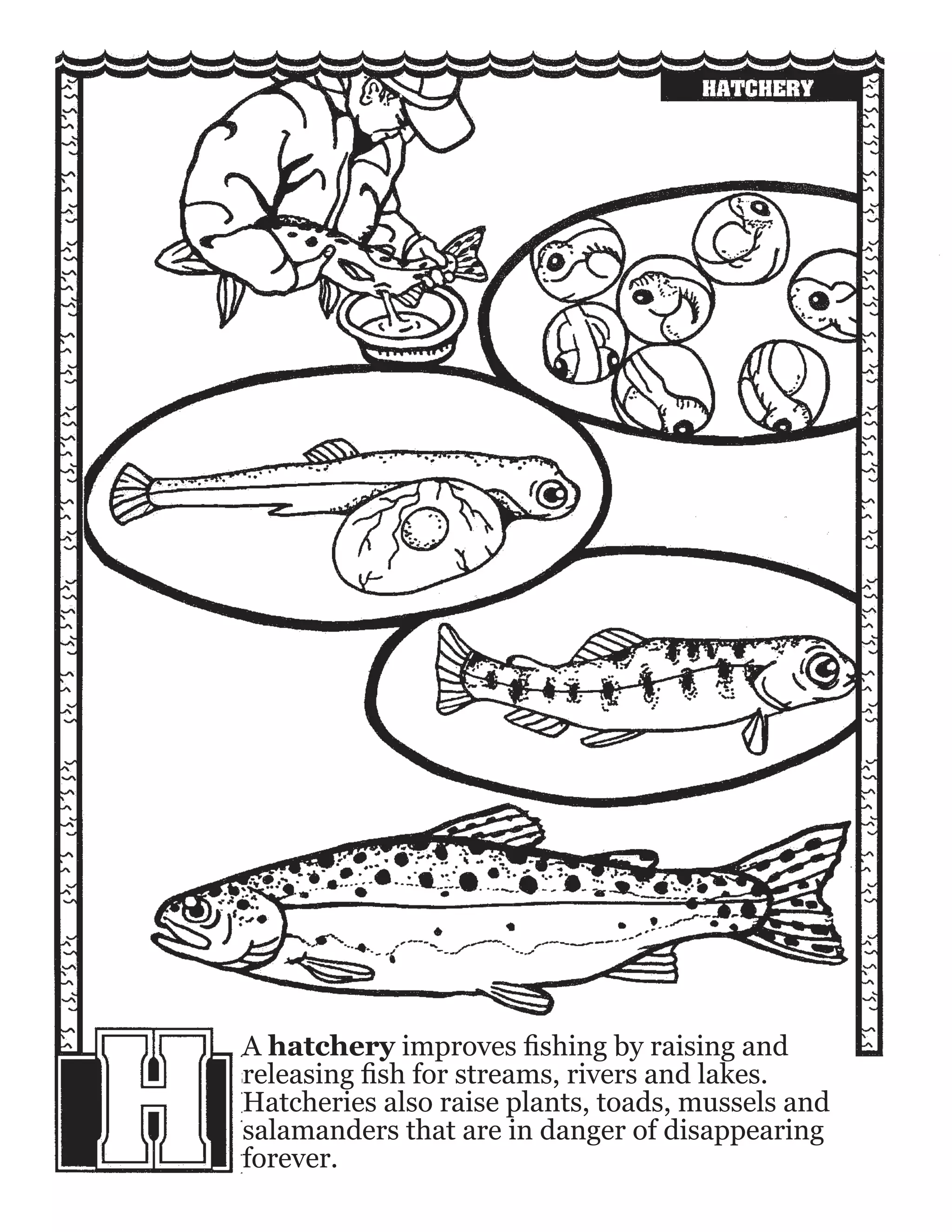 Fishing ABC's Coloring Book | PDF