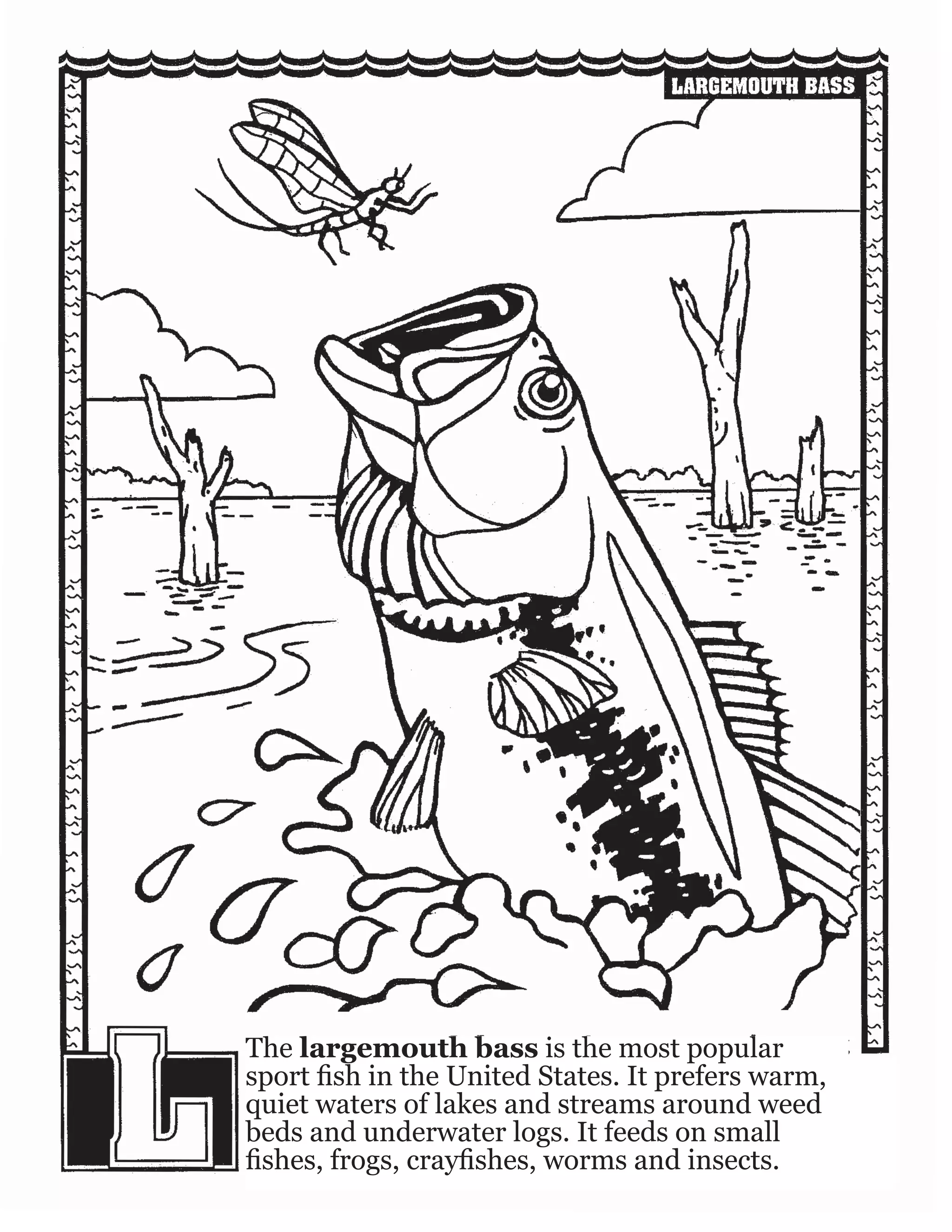 Fishing ABC's Coloring Book | PDF