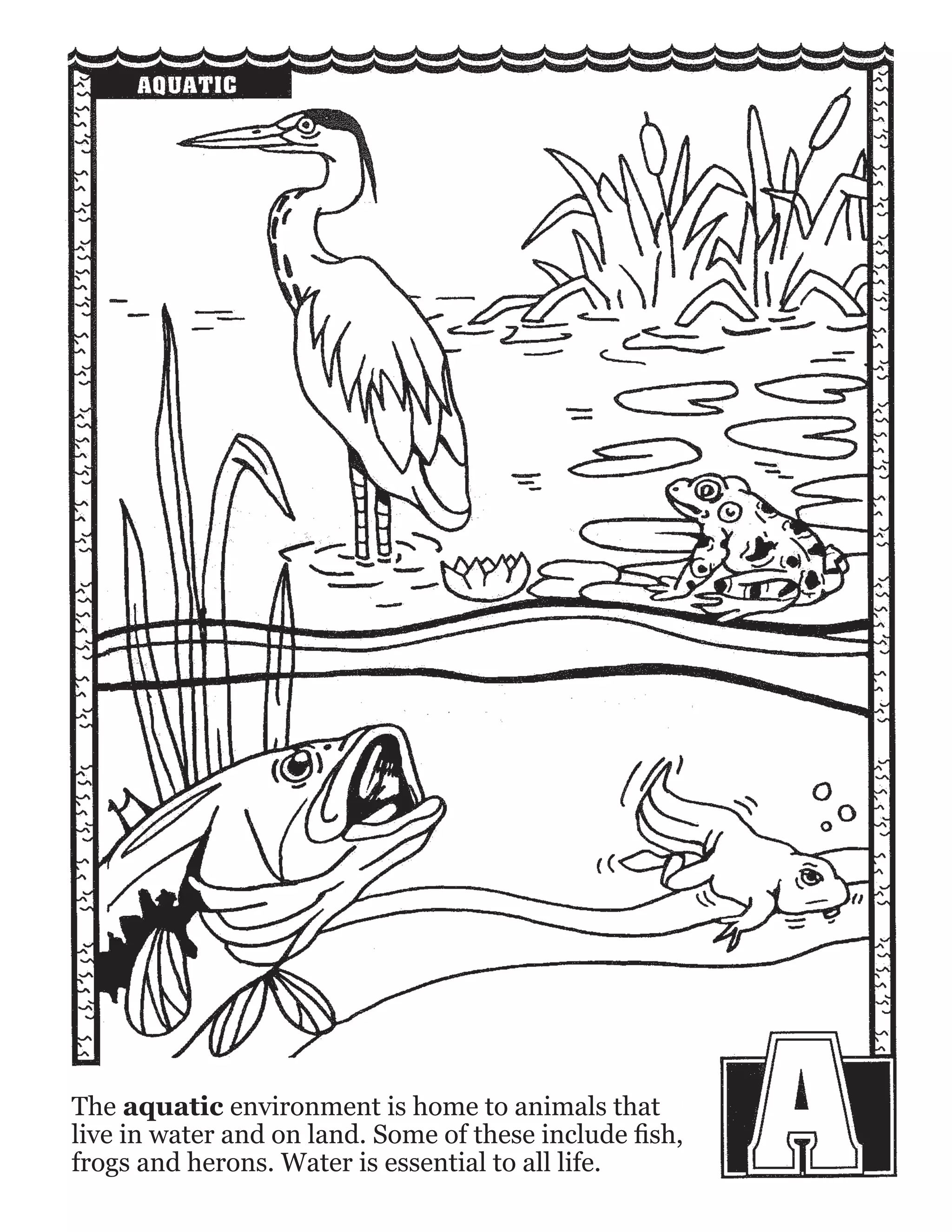 Fishing ABC's Coloring Book | PDF