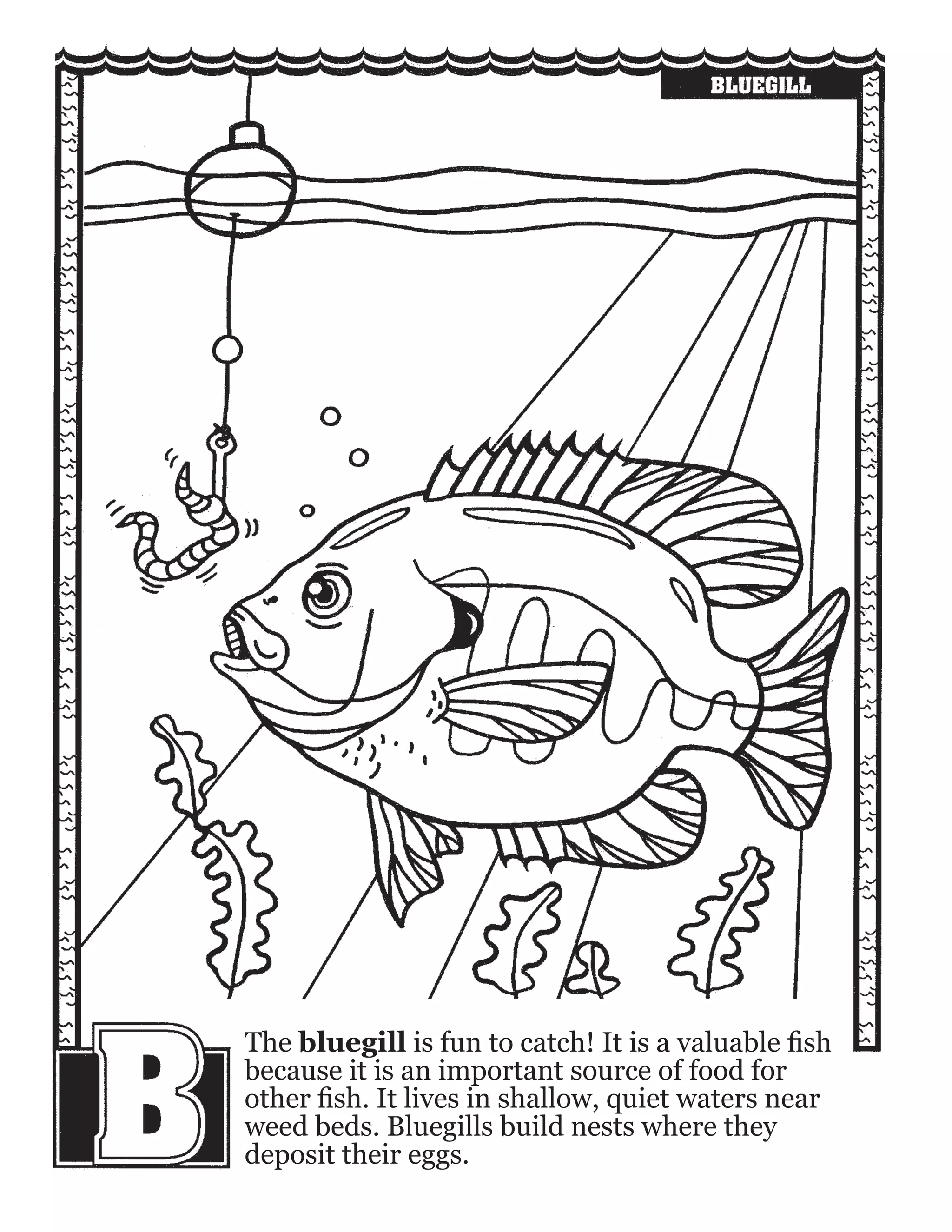 Fishing ABC's Coloring Book | PDF