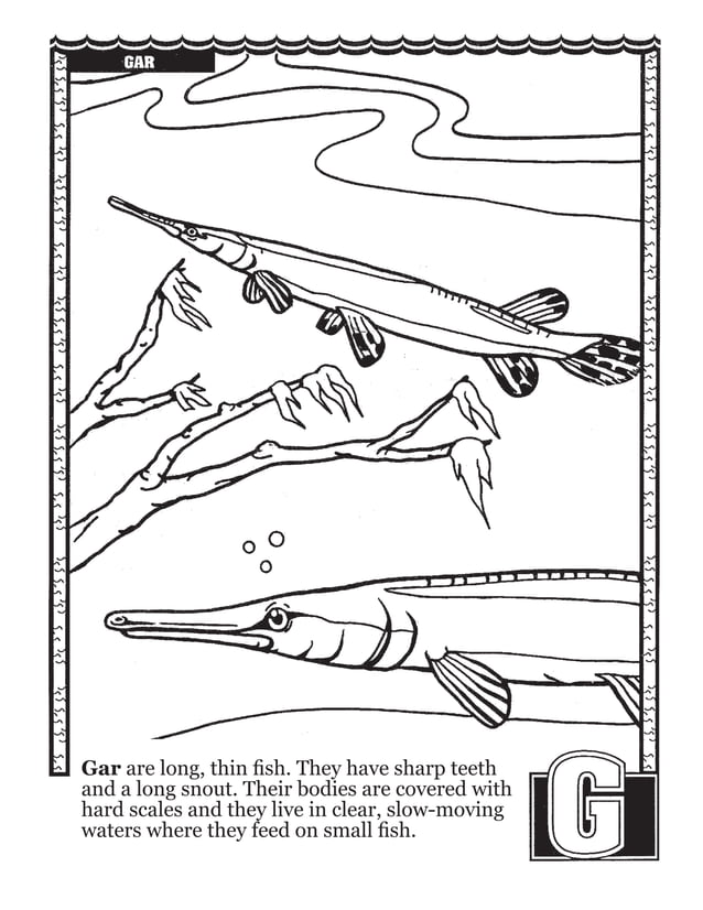 Fishing ABC's Coloring Book | PDF