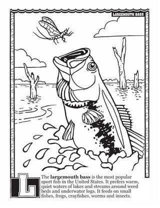 Fishing ABC's Coloring Book | PDF