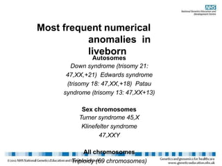 ABCs of Genetics.pptx