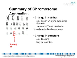 ABCs of Genetics.pptx