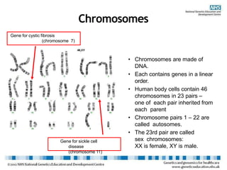 ABCs of Genetics.pptx