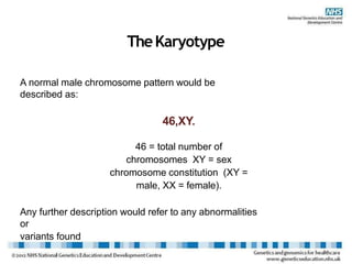 ABCs of Genetics.pptx