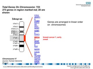 ABCs of Genetics.pptx