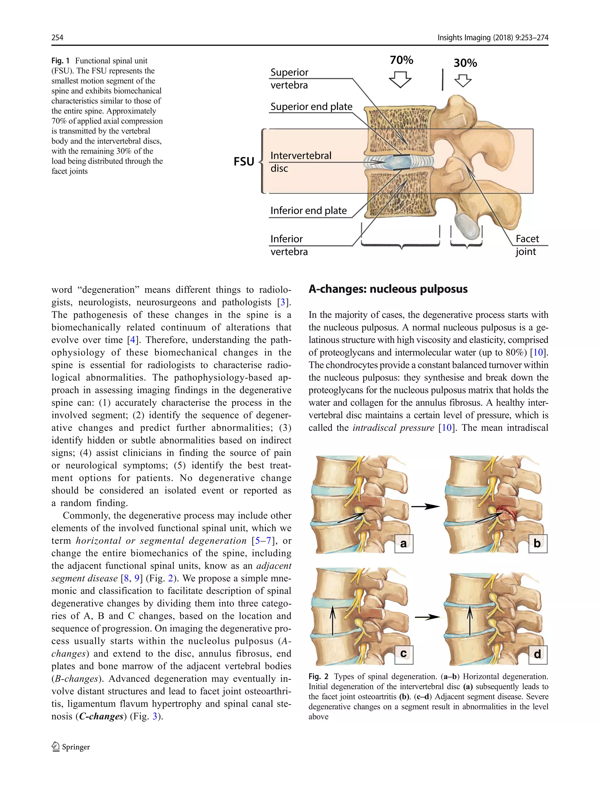 Abcs of the degenerative spine | PDF