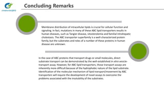 Abc transporters family | PPTX