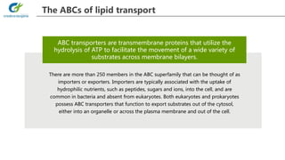 Abc transporters family | PPTX | Biotech and Biomedical Industry ...