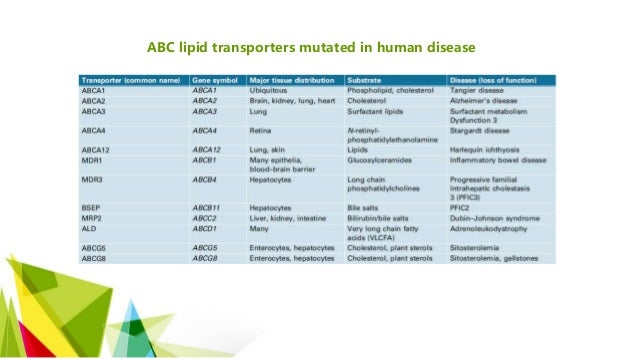 Abc transporters family