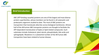 Abc transporters family | PPTX