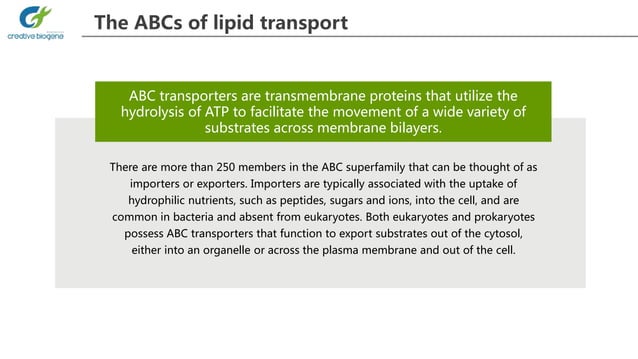 Abc transporters family | PPTX