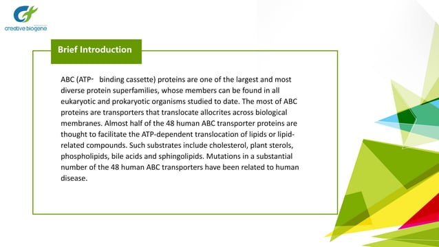 Abc transporters family | PDF | Biotech and Biomedical Industry ...