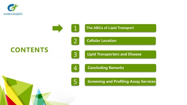 Abc transporters family | PDF | Biotech and Biomedical Industry ...