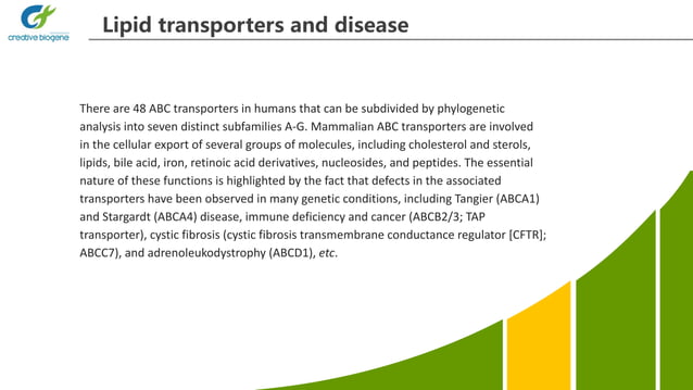 Abc transporters family | PDF | Biotech and Biomedical Industry ...