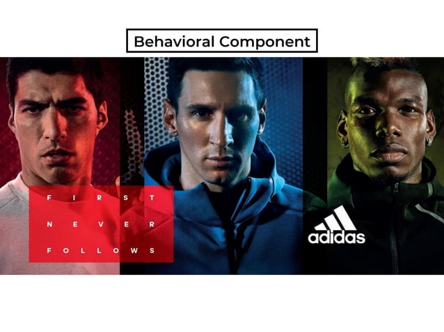 ABC Tri component model of Attitude. | PDF