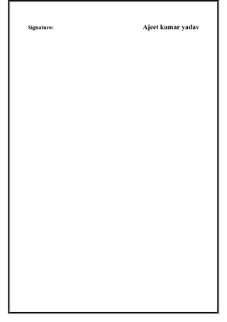 Ajeet CV with picture | DOC