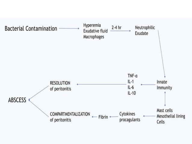 intra abdominal abscess and its management | PPTX | Infectious Diseases ...