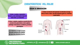 semiologia de Abdomen agudo y peritonitis | PDF