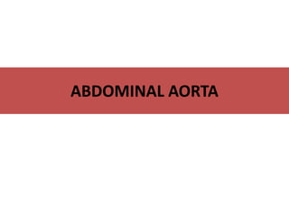 Abdominal Aorta Anatomy Abdomen Topic Pptx