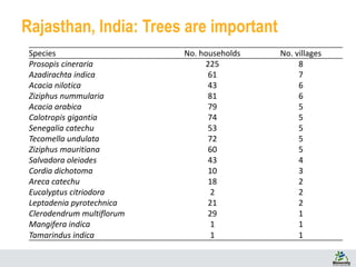Agricultural Biodiversity Assessment in the Systems CRPS: An ...