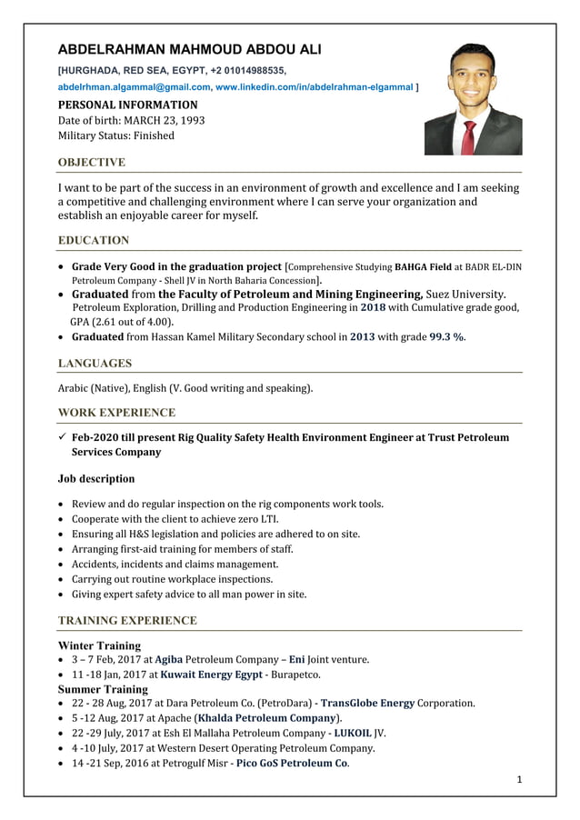 Abdelrahman Mahmoud Abdou Ali CV | PDF