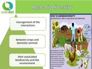AgroBioDiversity and Food Security | PPTX