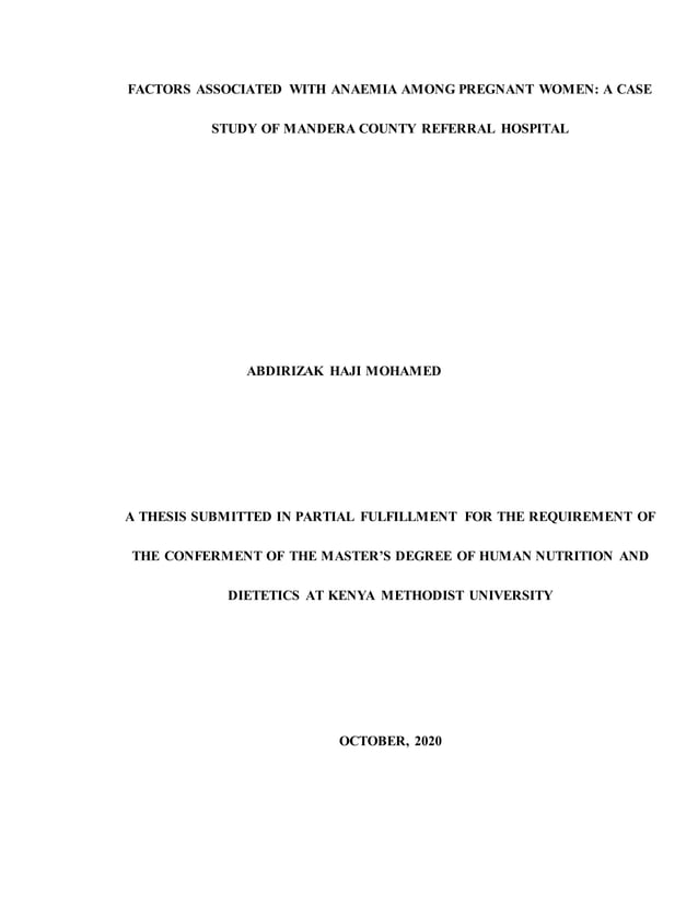 Abdirizak final thesis | DOCX