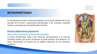 abdomen pelvis y retroperitoneo urologico.pptx