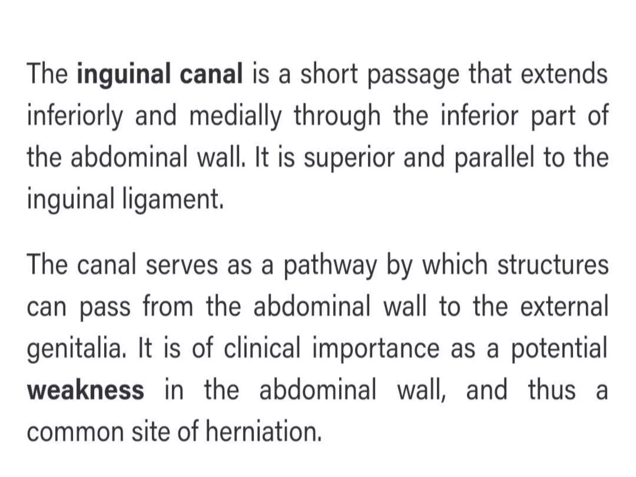 Abdoman ppt 2 (Inguinal region).pptx