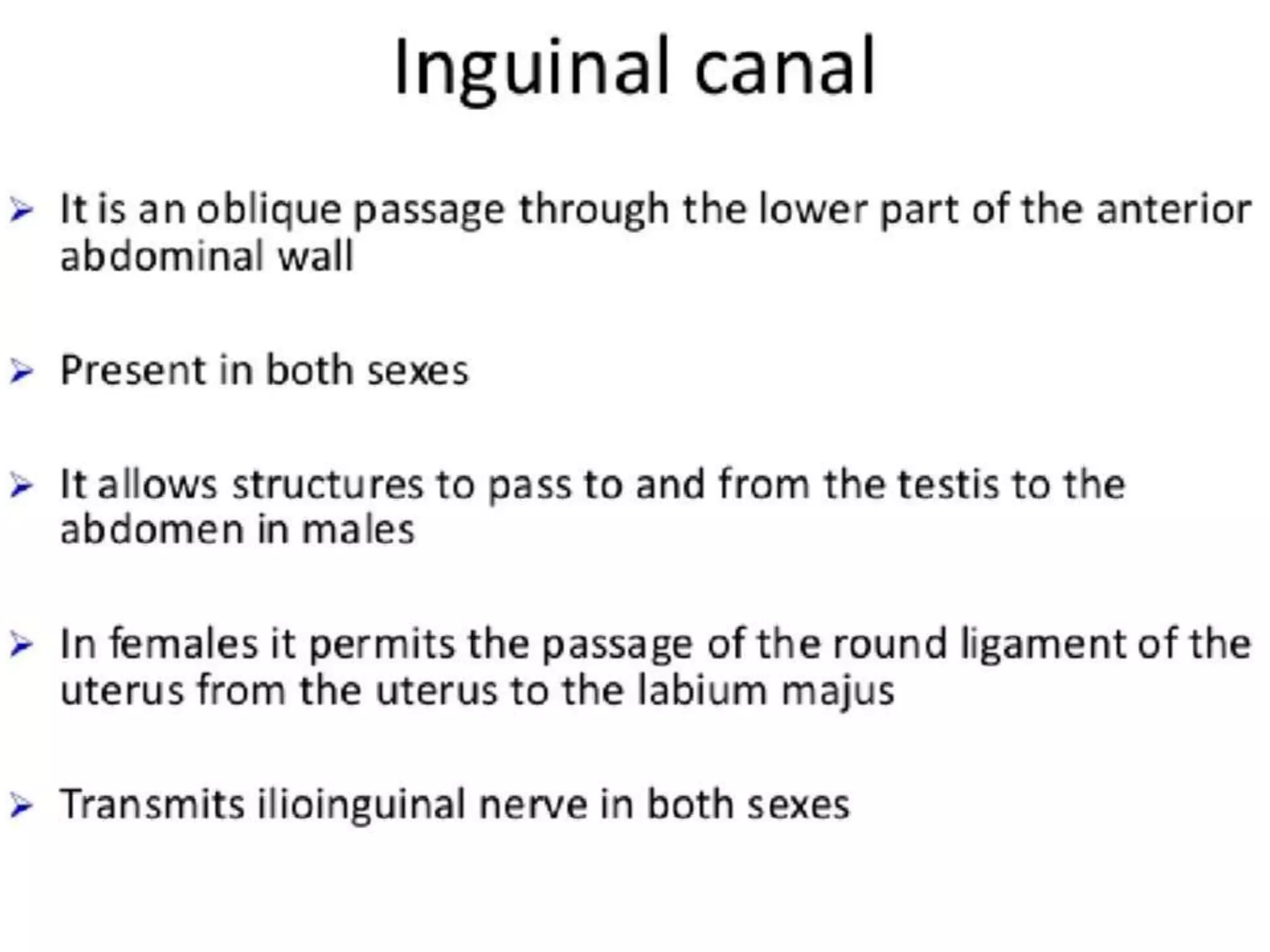 Abdoman ppt 2 (Inguinal region).pptx