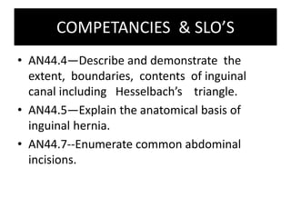 Abdoman ppt 2 (Inguinal region).pptx