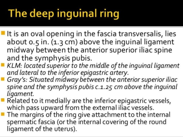 Abdoman ppt 2 (Inguinal region).pptx