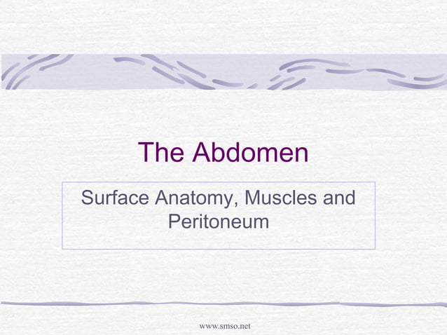 Abdomen | PPT
