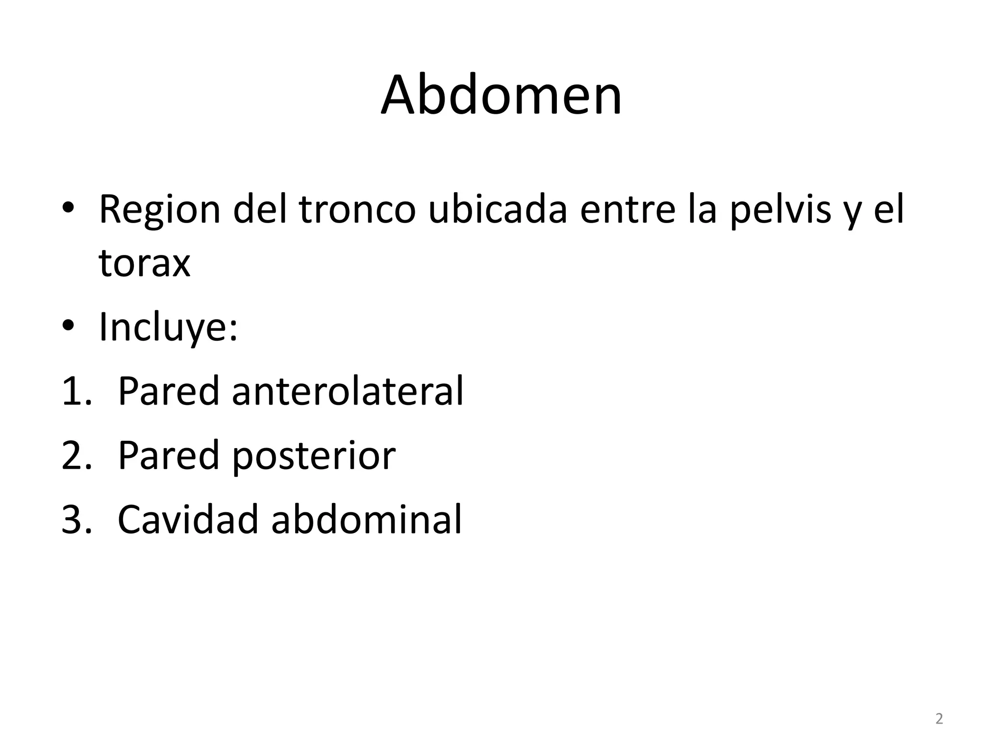 Anatomia Abdomen Diapositiva | PPTX | Bone and Joint Conditions ...