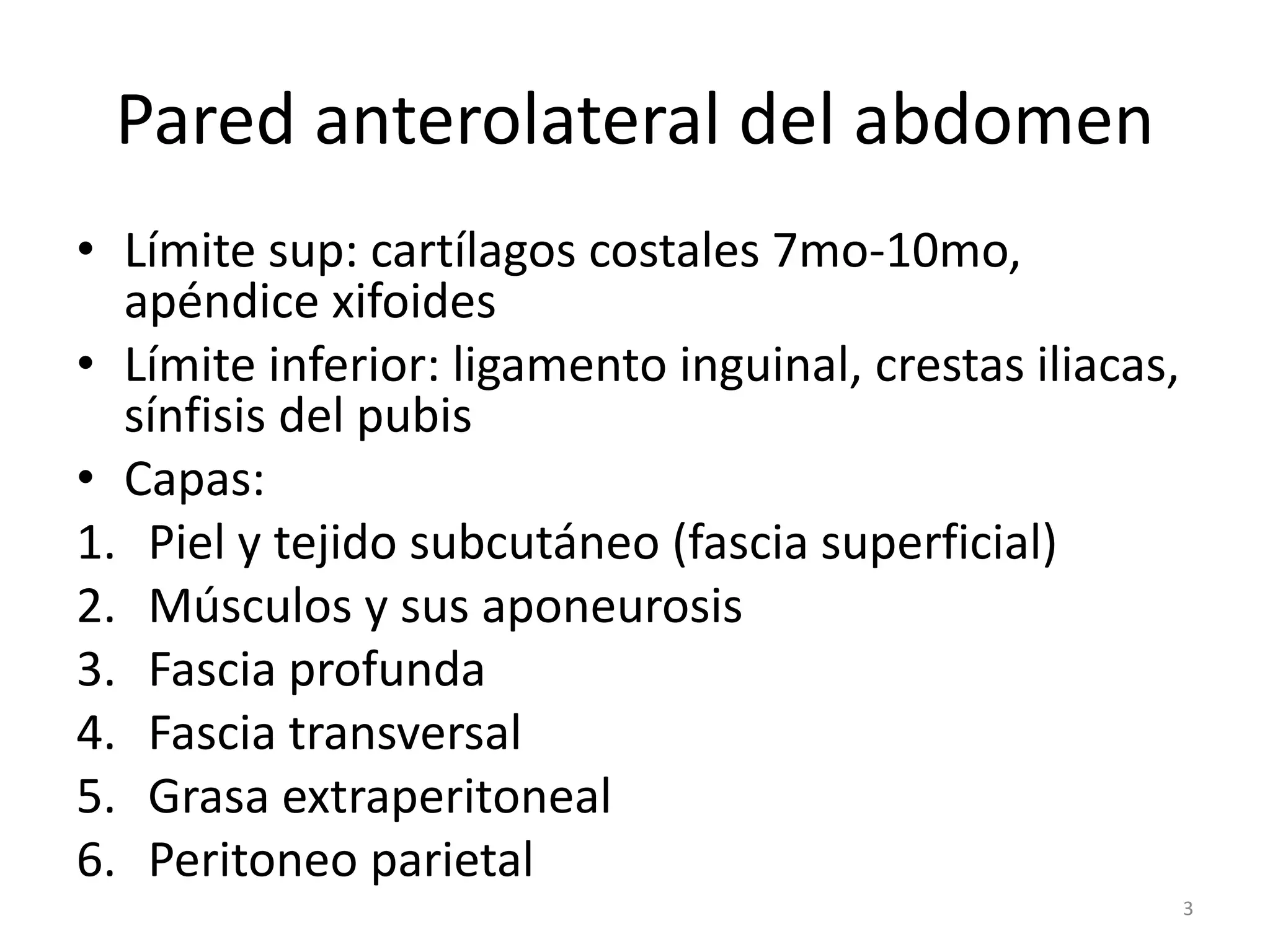 Anatomia Abdomen Diapositiva | PPTX | Bone and Joint Conditions ...