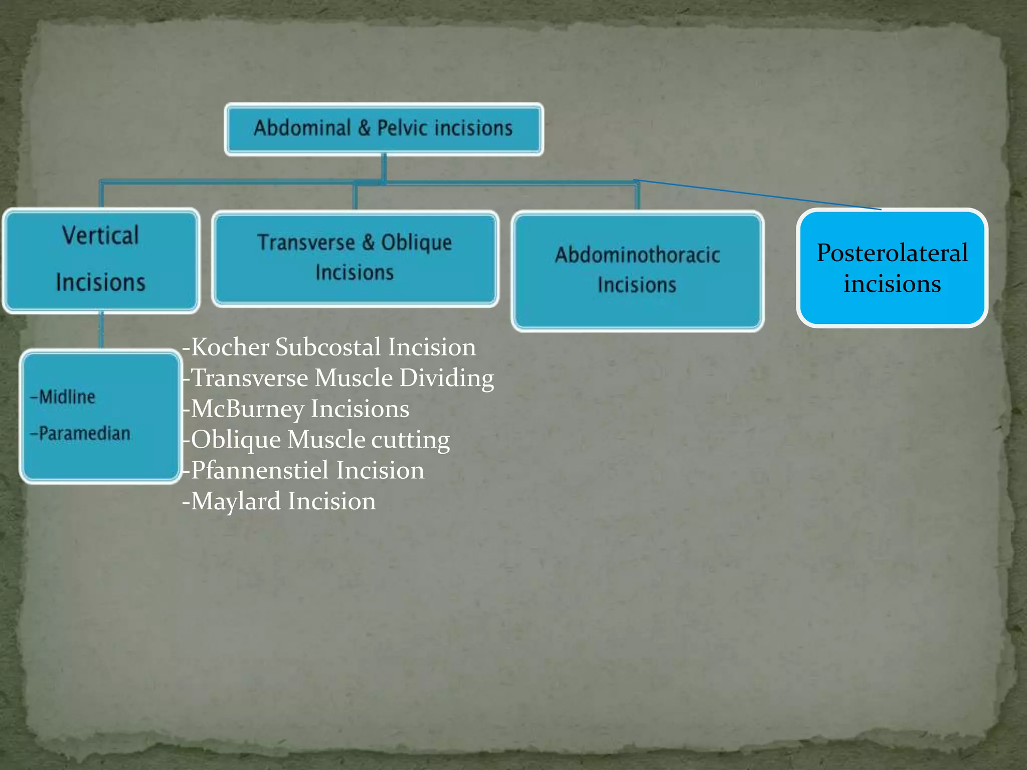 Abdomen layers & surgical incisions | PPTX