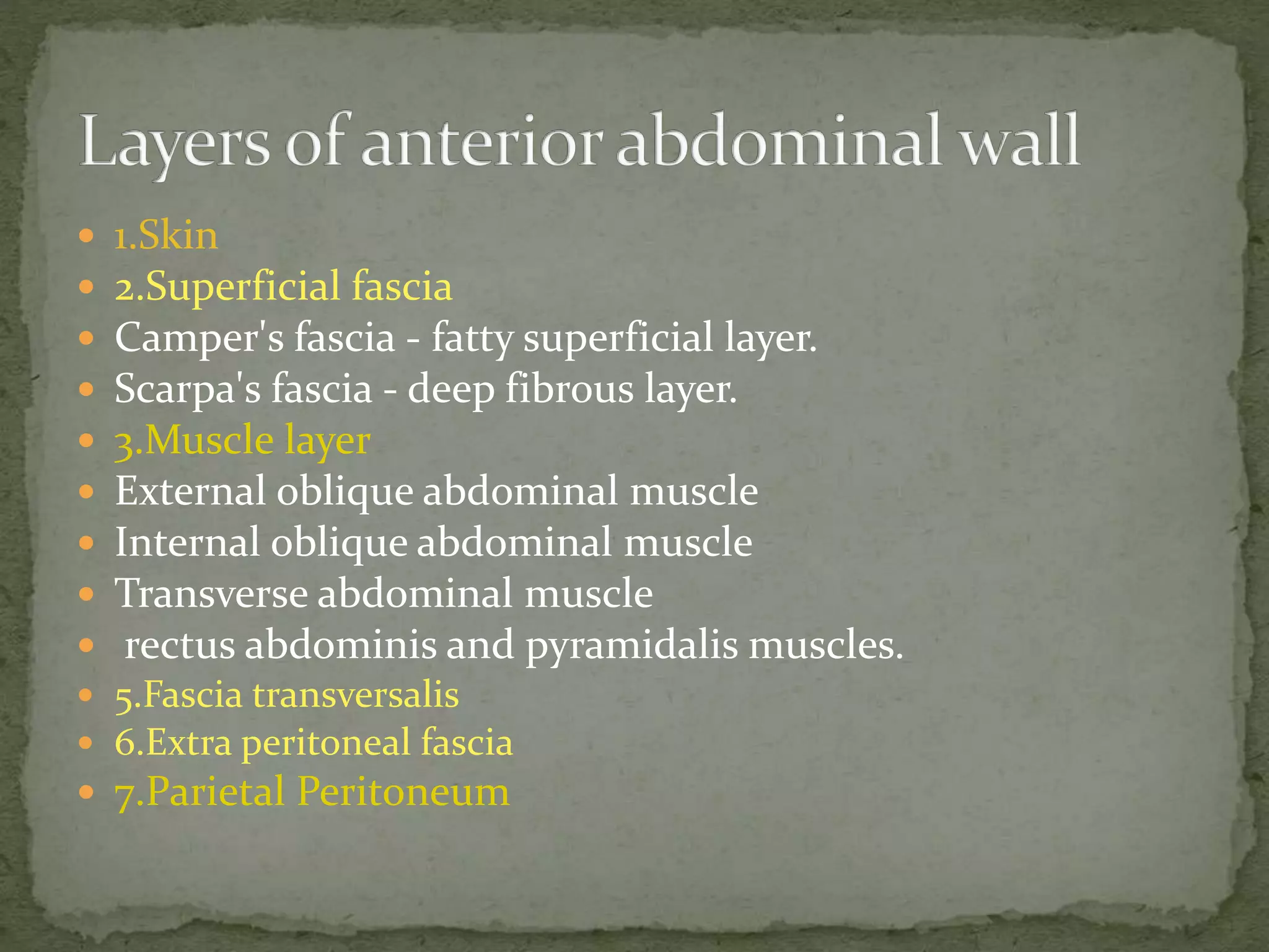 Abdomen layers & surgical incisions | PPTX